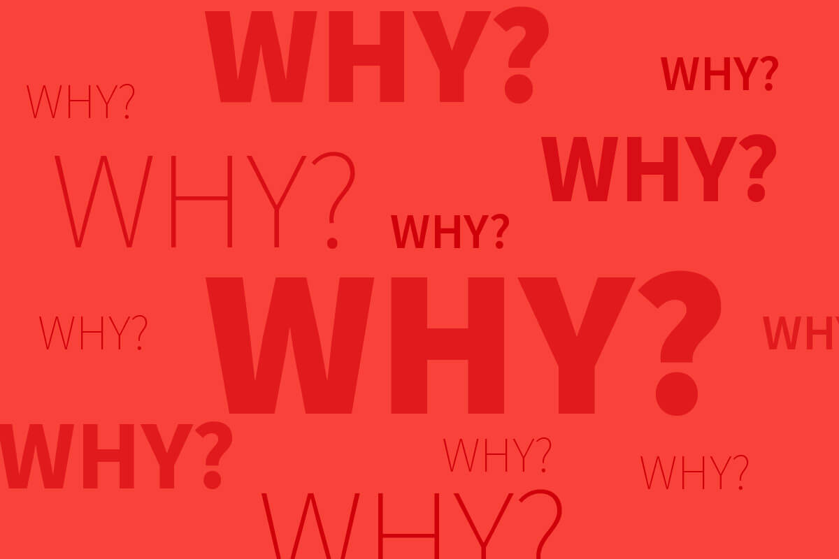 The Why Series - Education Reimagined - Education Reimagined