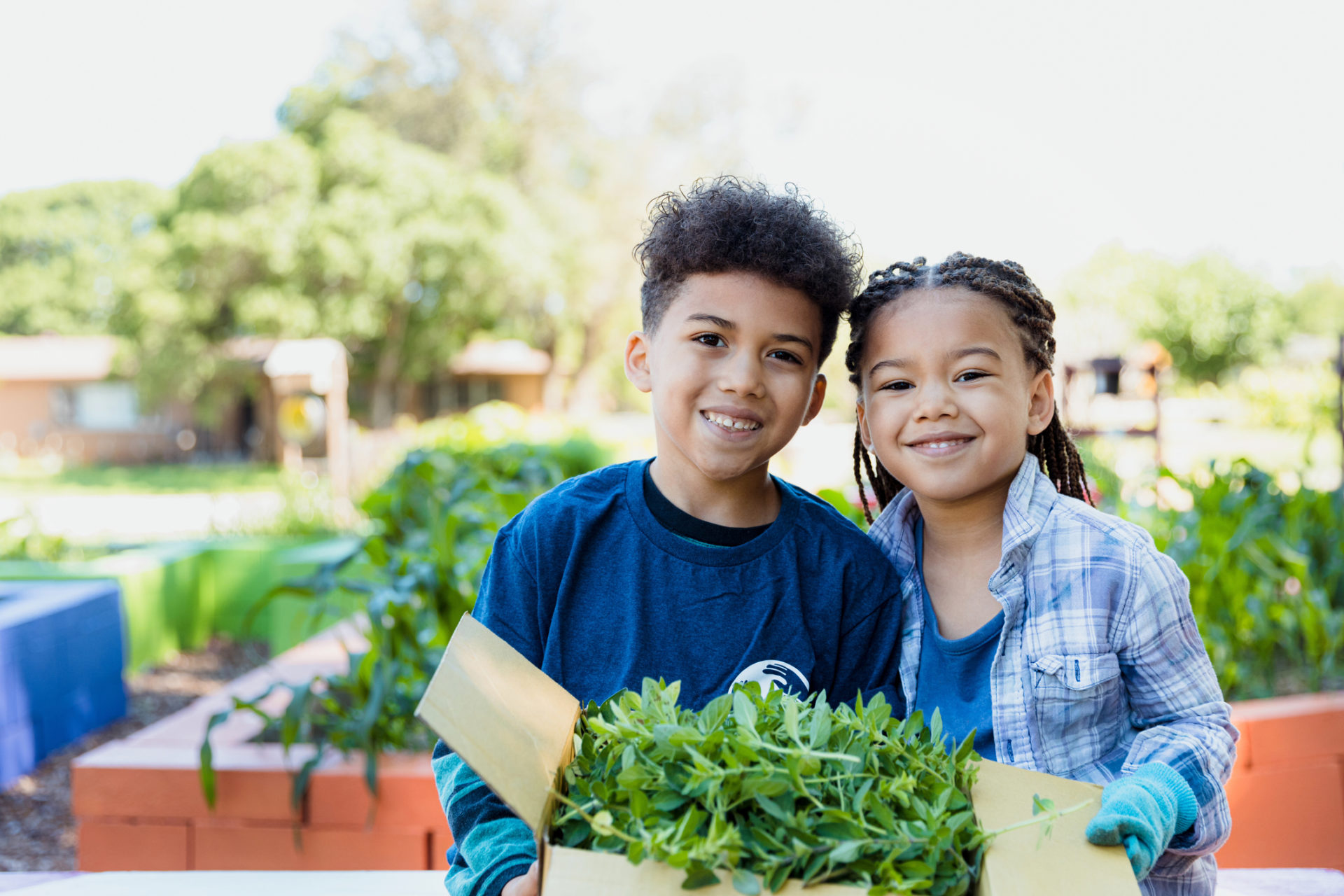 Telling a New Story - Education Reimagined - Education Reimagined